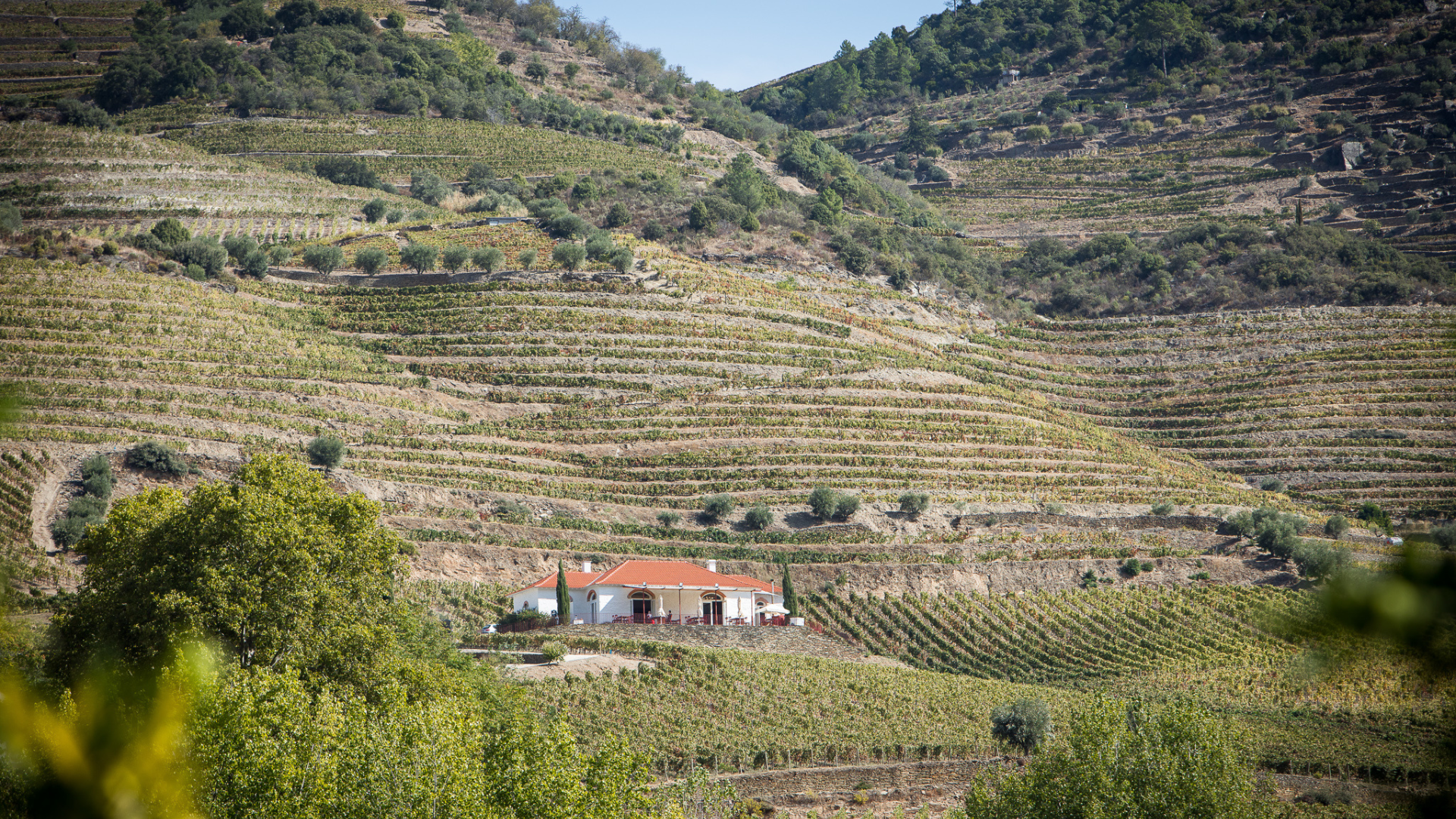 10-Day Adventure: Explore Mainland Portugal & Madeira Island
